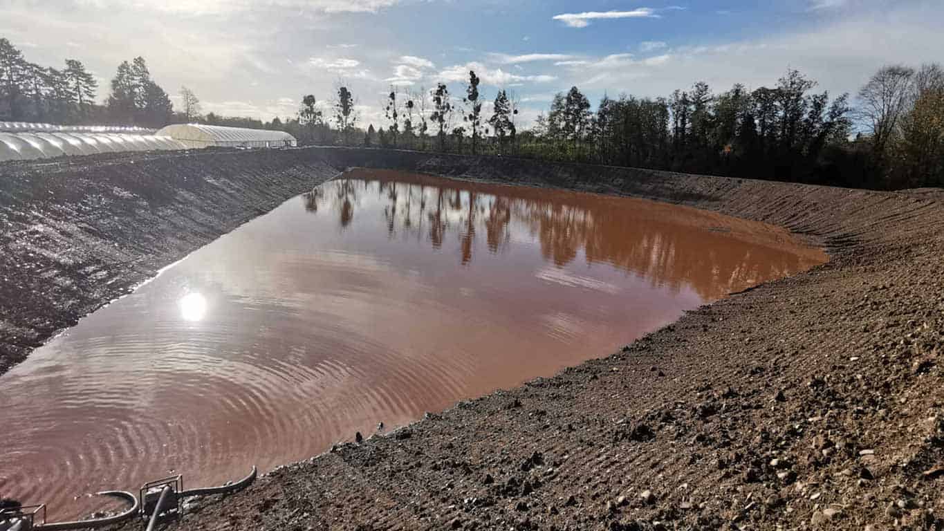 Turtle Productions - Irrigation Lagoon