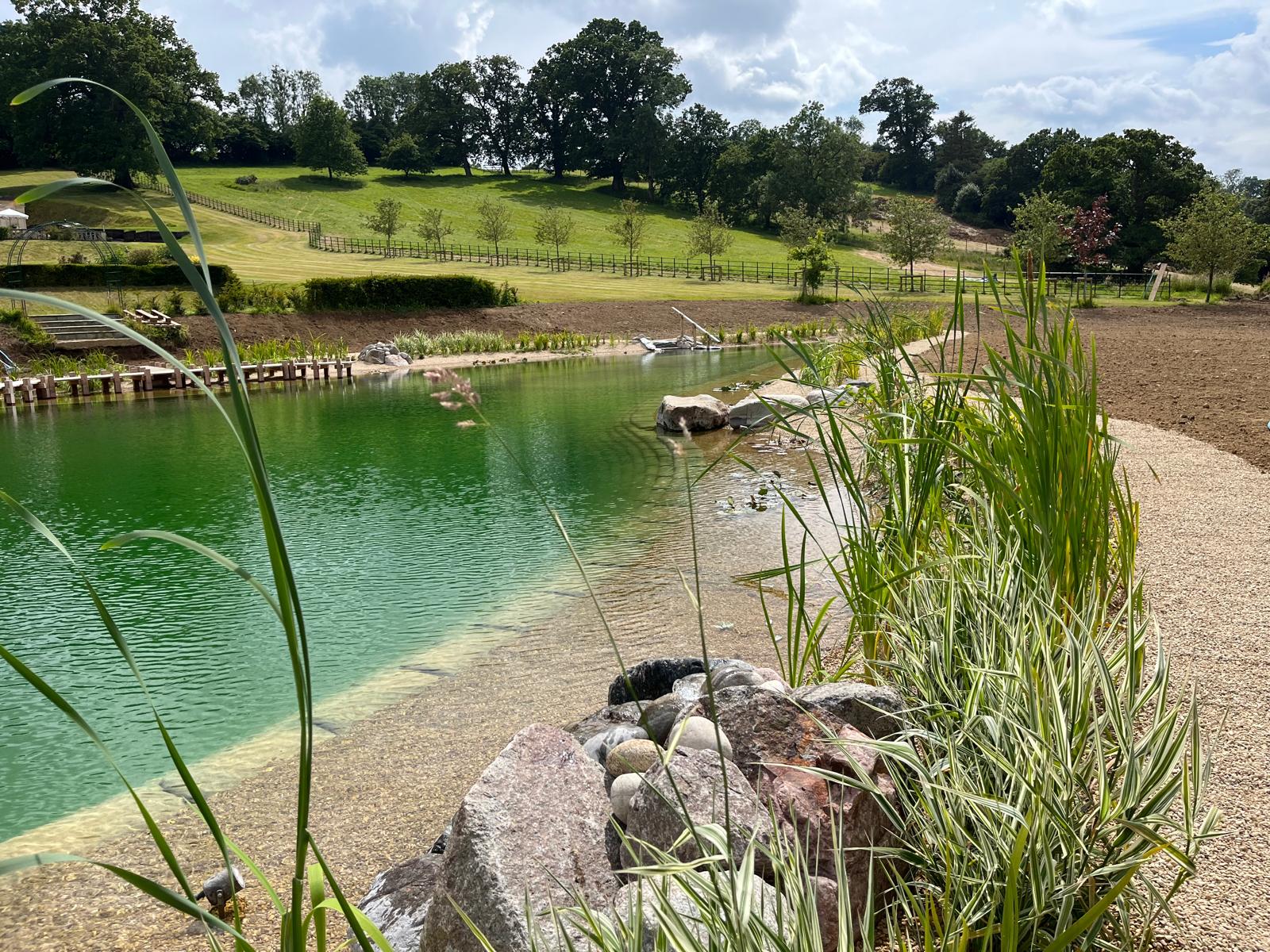 Somerset Natural Swimming Pond | Gartenart Project - Gordon Low Pond ...
